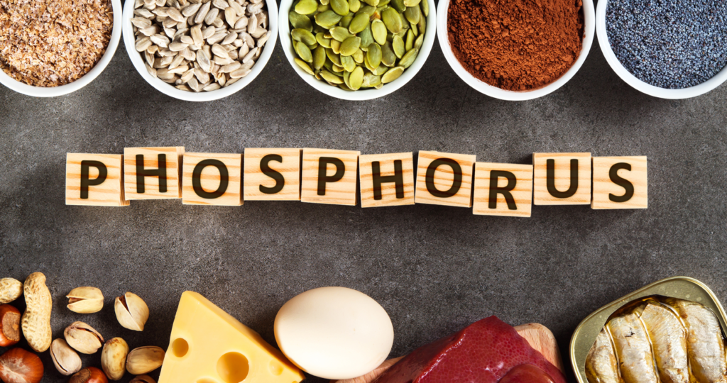 Fosforo: a cosa serve? | Parmalat